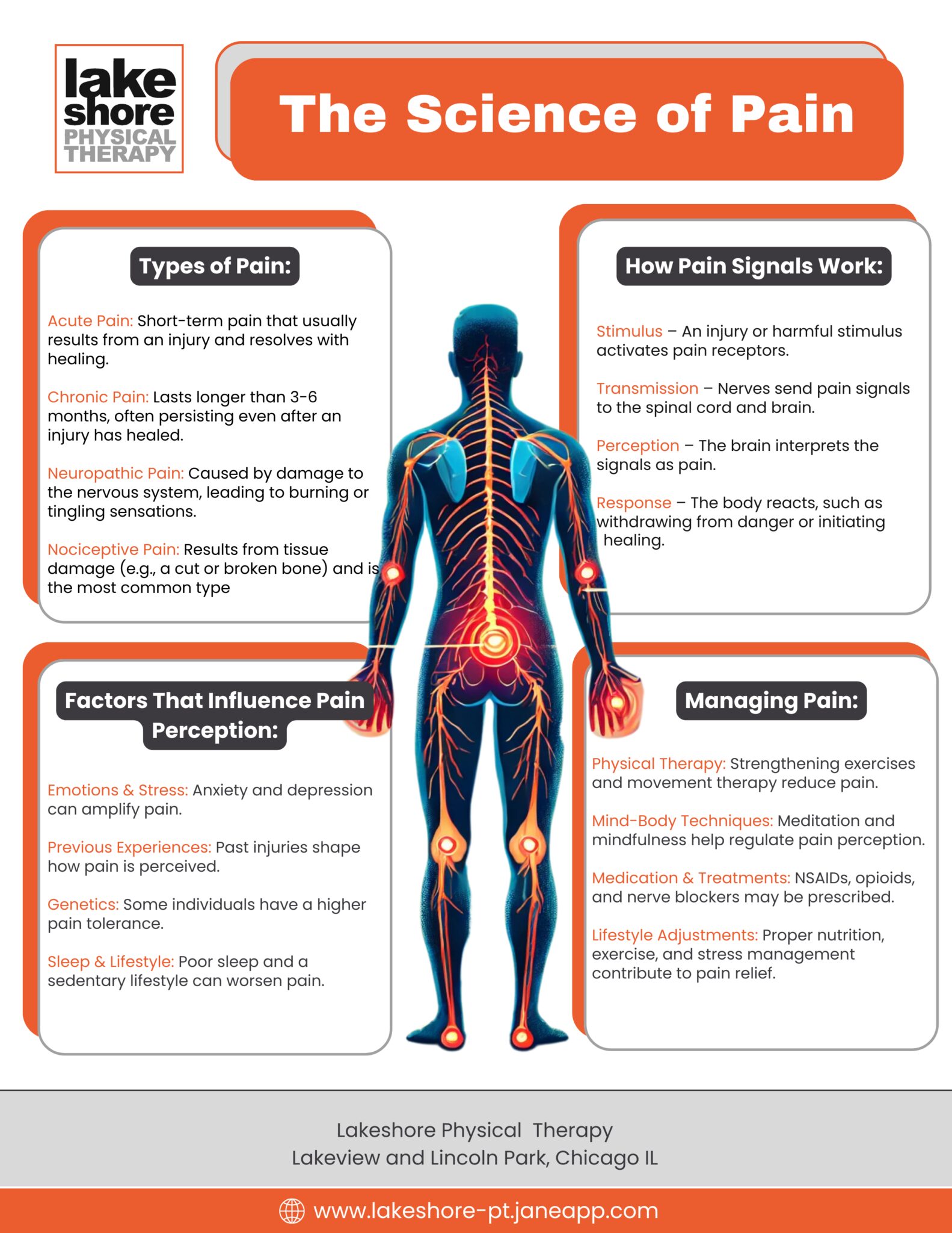 The Science of Pain: How Your Body Interprets Pain Signals